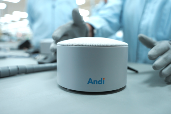 Andi 1c Andi Amo
